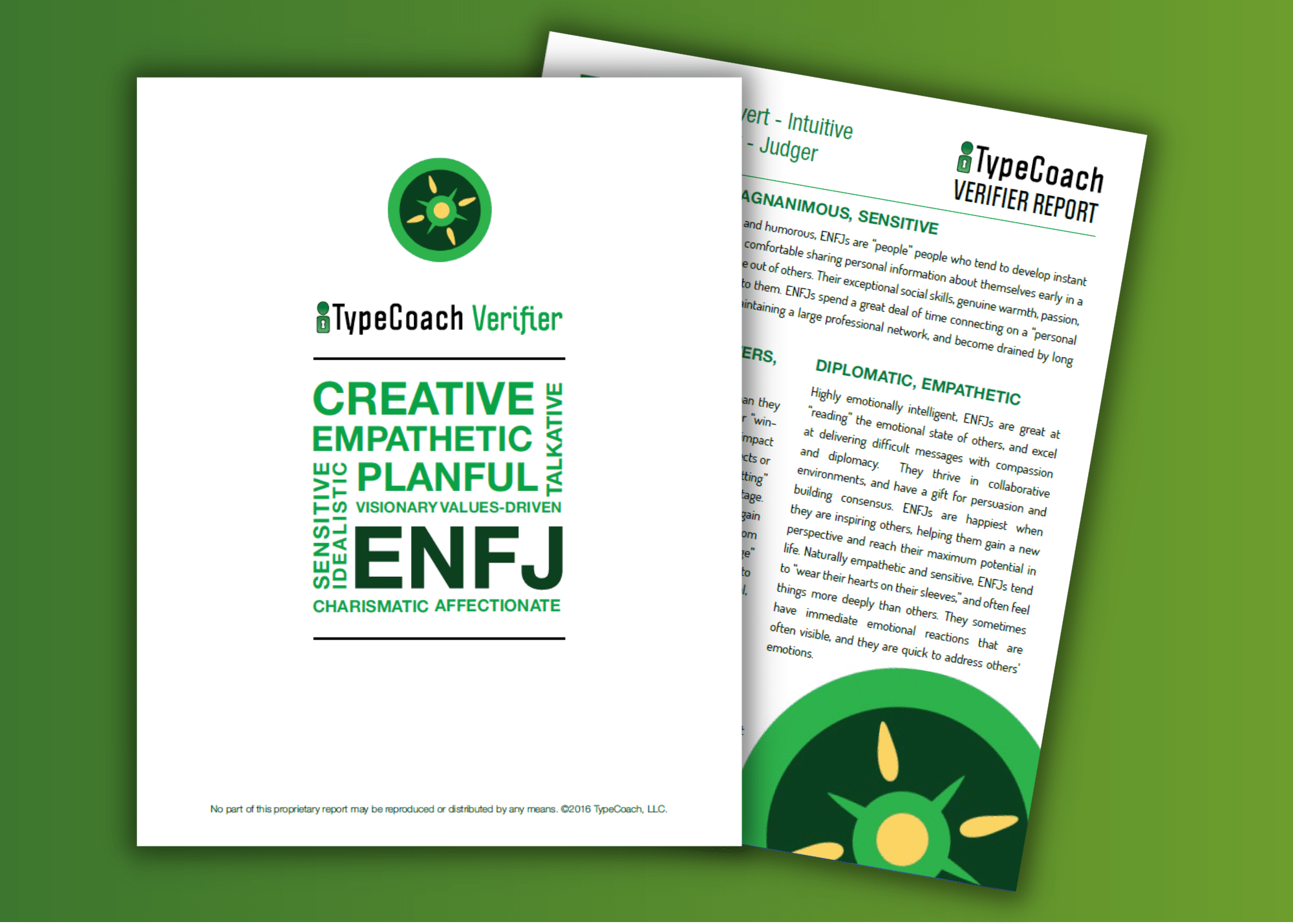 Influence Program – TypeCoach